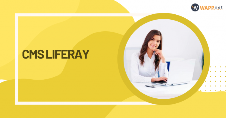 What is the liferay framework all about?